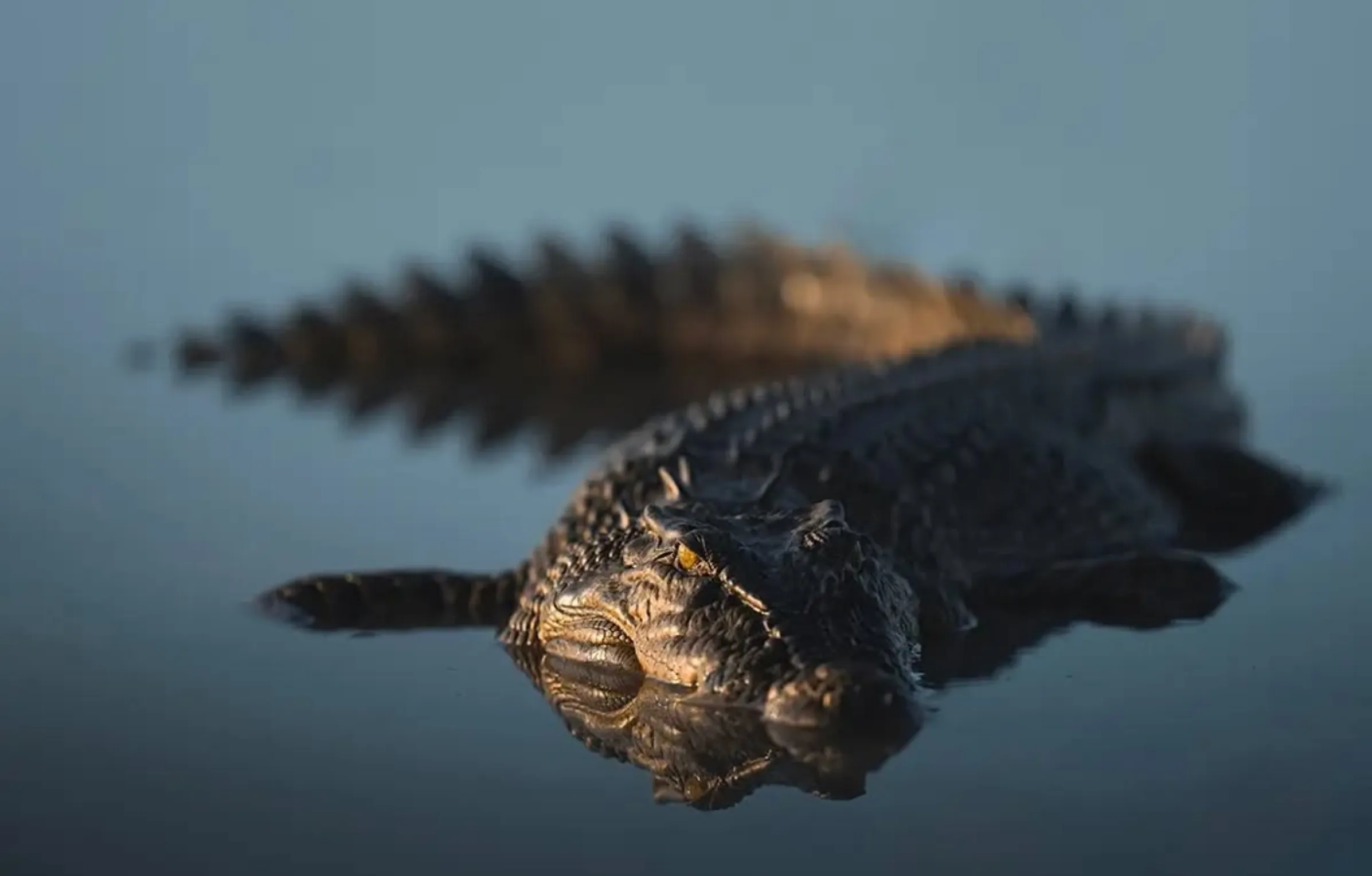 How Is Climate Change Impacting Kakadu?